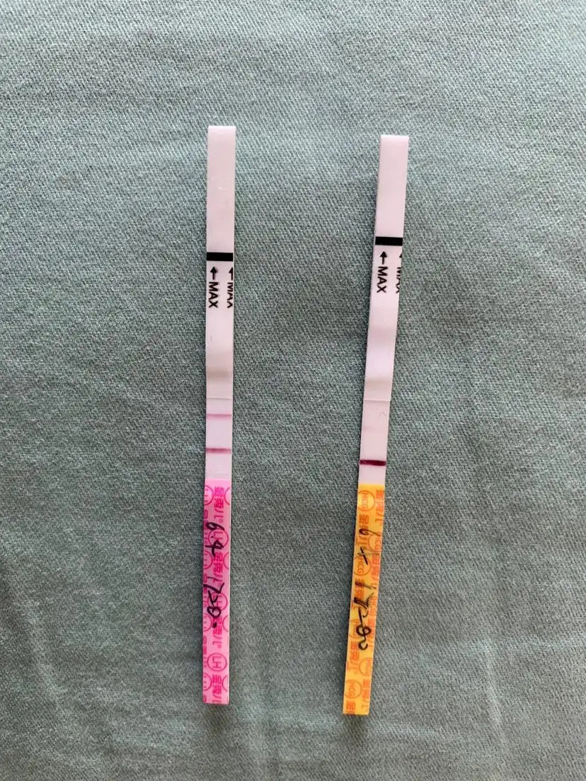 金秀儿早孕试纸自带透明水印？意念灰、亲妈灰其实是怀孕 - WCOB